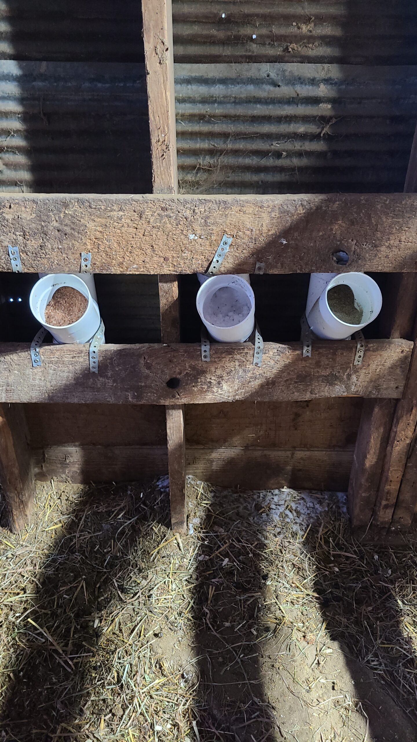 6 Ways to Give Your Goats Minerals – Wild Reid Ranch
