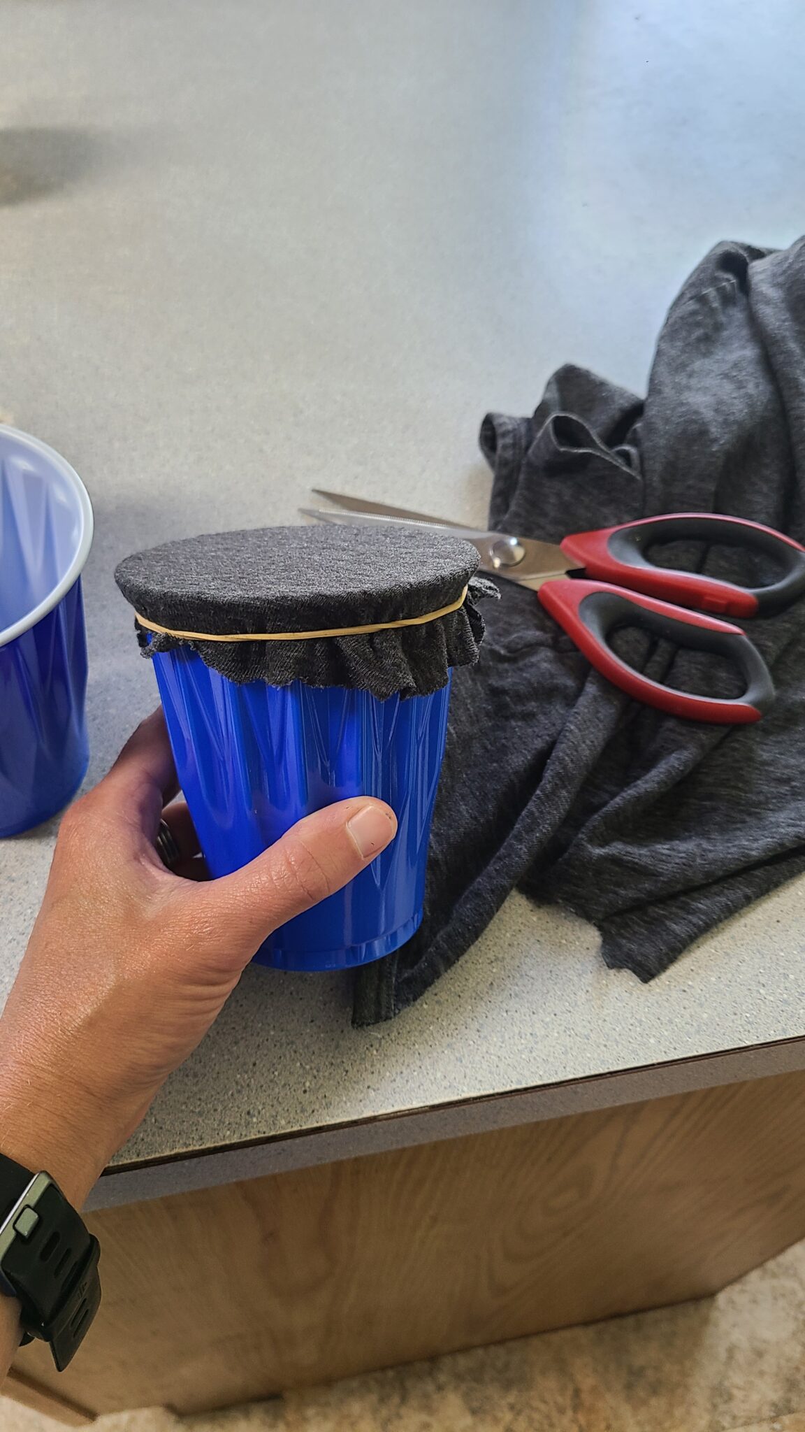 How to Render Beeswax from Wax Cappings – Wild Reid Ranch